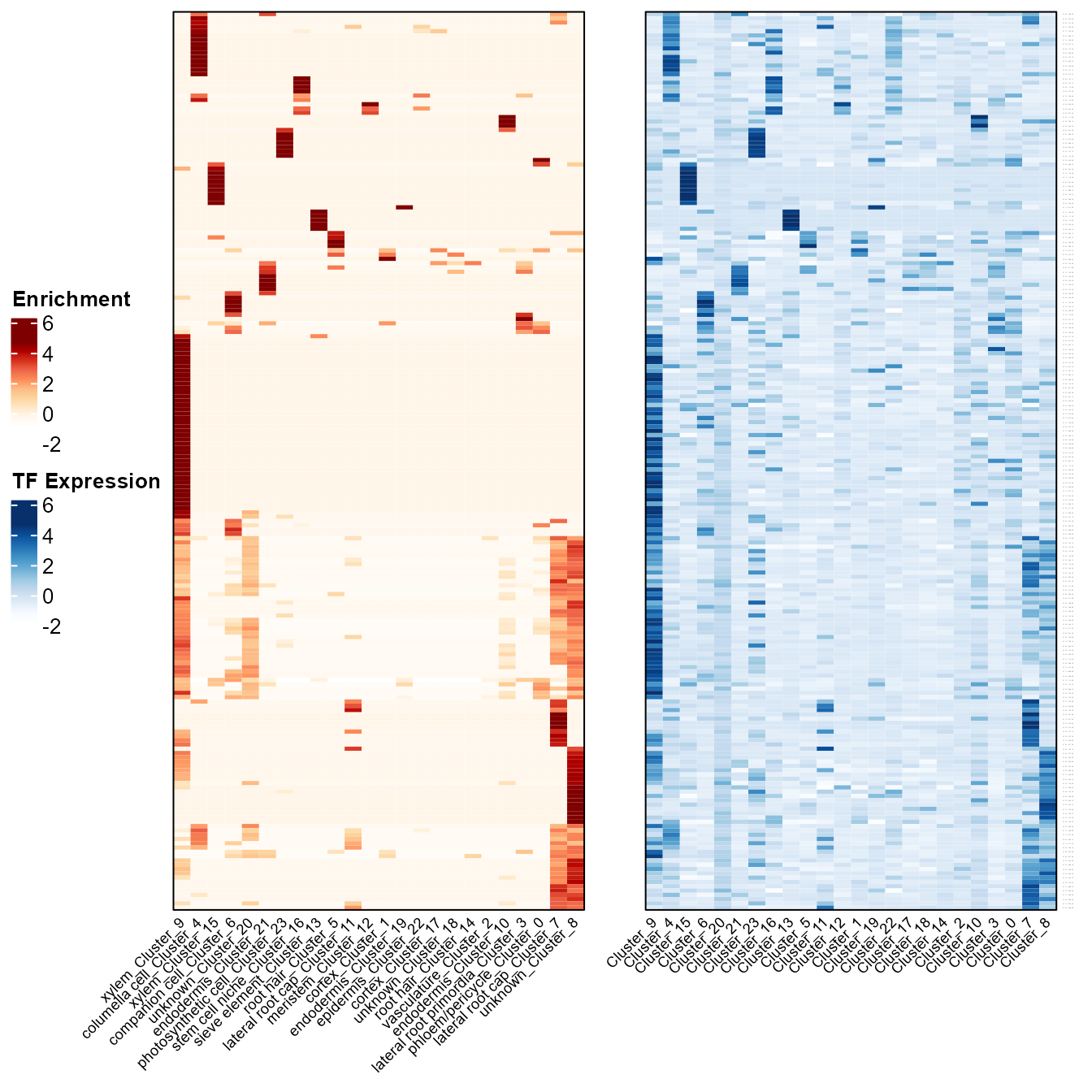 Gene regulatory network construction • scPlant